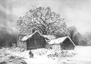 A Tree Grows in Dedham - USS Constitution Museum